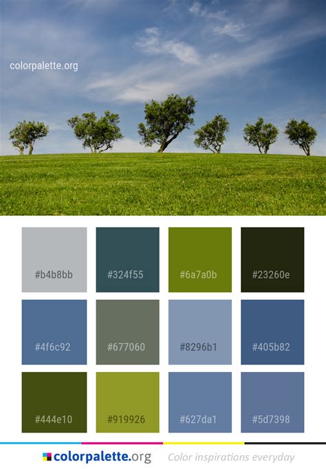 Sky Grassland Tree Color Palette