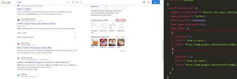 Google Search Api Search Information Menu Items Incorrectly Parsed