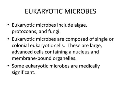 Ppt Exam Unit Two “survey Of Microbes” Powerpoint Presentation Free