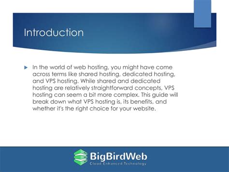 PPT What Is VPS Hosting A Beginner S Guide PowerPoint Presentation Free Download ID 13363380
