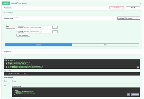 十＜fastapi＞文件上传fastapi 多文件上传 Csdn博客