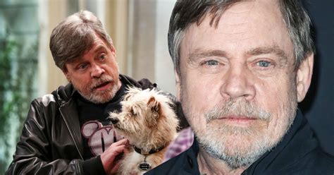 How Mark Hamill Really Felt About Appearing On The Big Bang Theory