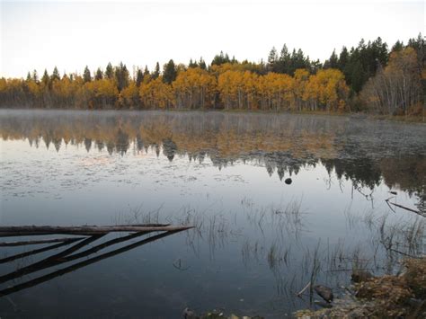 Chilcotin Maps Area Info And Real Estate Wilderness