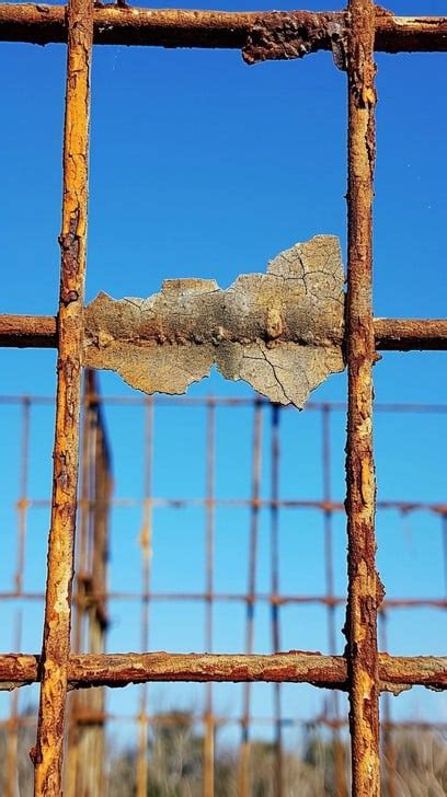 Free Rusty Rebar Grid Photo Rust Rebar Grid Download At Stockcake