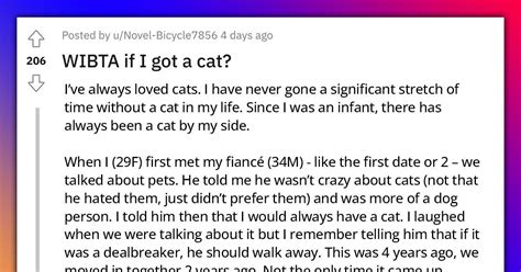 Man Stops His Partner From Getting A Cat After Her Previous Cat Passed