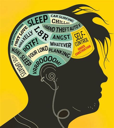 Weetjes Het Puberbrein Puberbrein