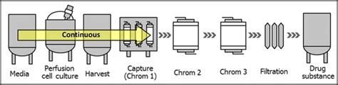 Continuous Upstream Capture Batch Downstream Download Scientific