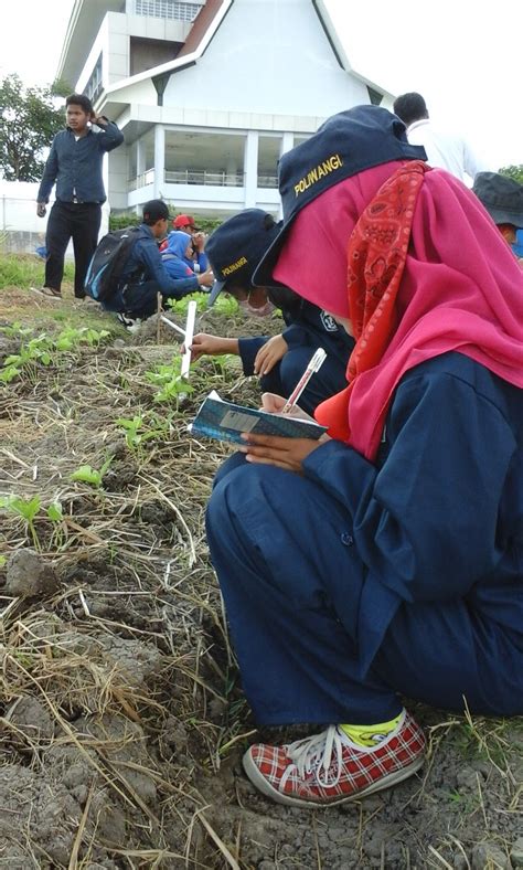 Cara Mengukur PH Tanah Secara Manual Agribisnis Update