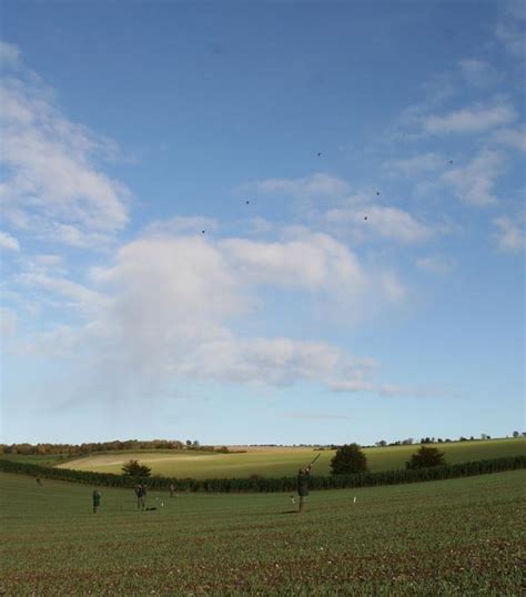 Summerdown Farm Shoot Wiltshire Availability On Gunsonpegs