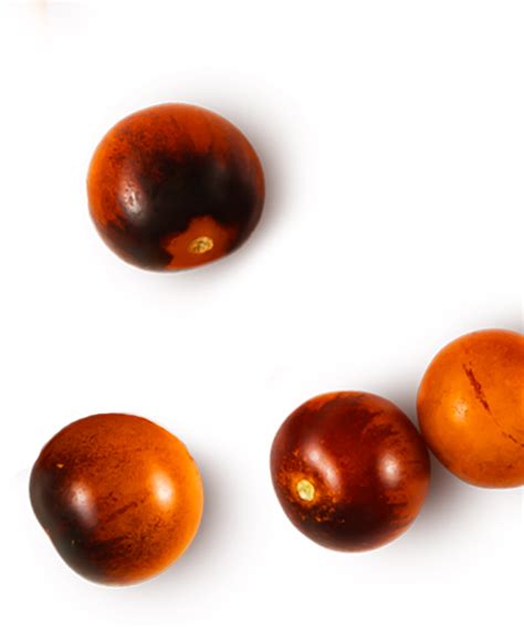 Tiki Tomatoes™ Pure Flavor®