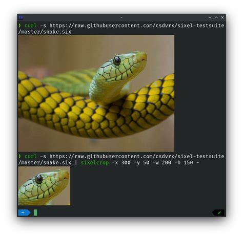 Github Joouhasixelcrop Crop Sixel Images In Sixel Space