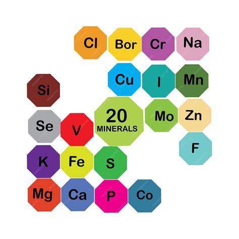 Microelementos Minerais E Macroelementos úteis Para A Saúde Humana