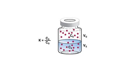Partition Coefficient Definition Quizlet At Brooke Fitzroy Blog