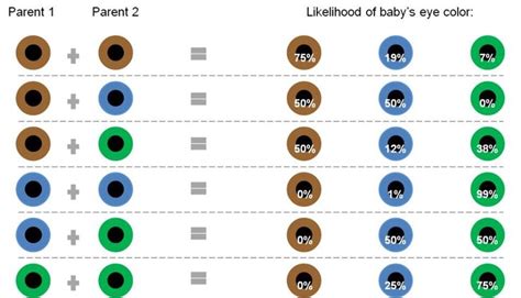 👀👀👀 Eye Color Chart Eye Color Chart Genetics Eye Color