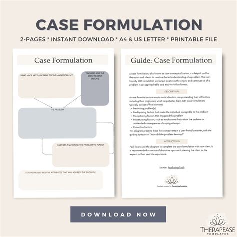 Case Formulation Template Client Map Template Client Notes Etsy