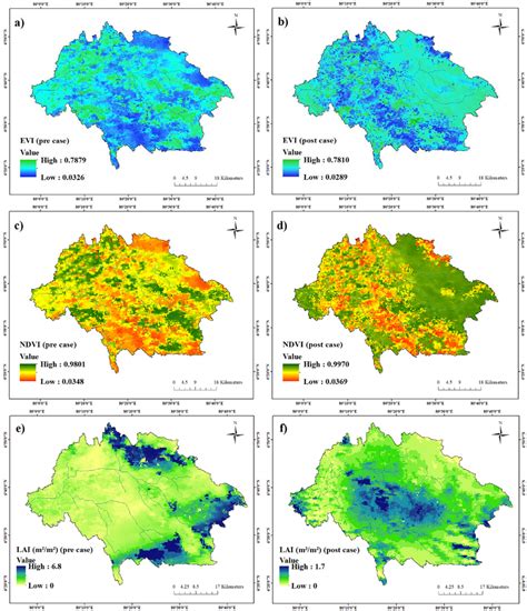 Temporal And Spatial Dynamics Of Biophysical And Biochemical Features