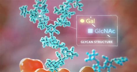 Research Vaginal Microbes Could Aid Hiv Research Mirage News