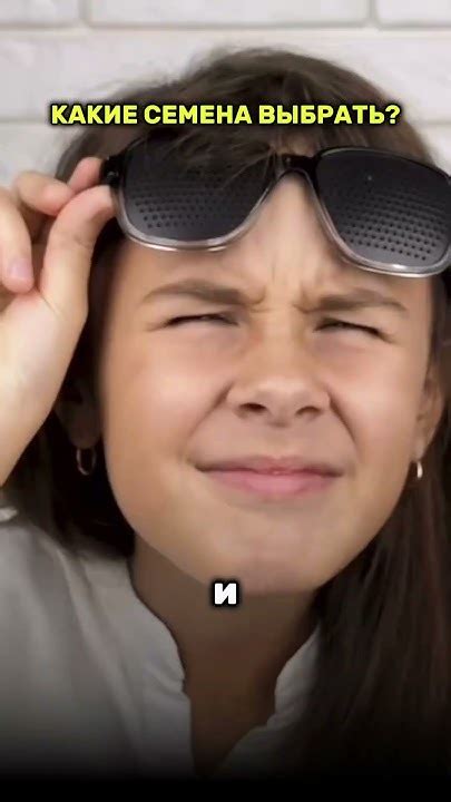 Какие семена выбрать Youtube