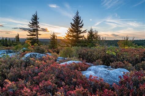 Premium Photo Dolly Sods Sunset