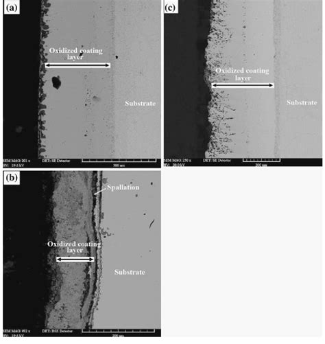 Sem Cross Section Image Of The Oxidized Aluminized A Siliconized B