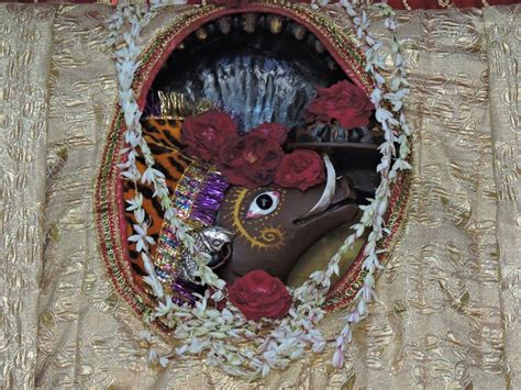 Varaha Dwadashi Appearance Of Lord Varahadeva Five Pictures