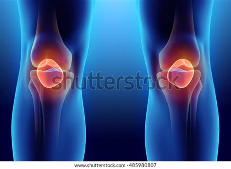 3d Illustration Patella Part Human Skeleton Stock Illustration 485980807