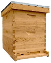 Langstroth Hive Dimensions The Easy Guide LearnBees