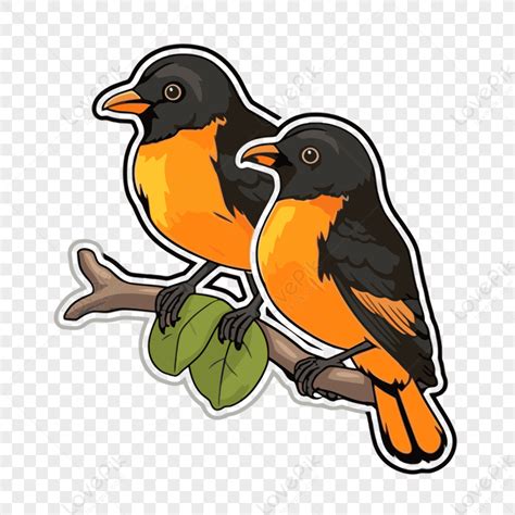 Lil 새 Orioles 클립 아트 검정색과 노란색 Colorbird 스티커 일러스트 벡터상표만화 Png 일러스트 무료