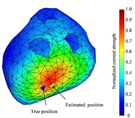 Definition Of Estimation Error Download Scientific Diagram