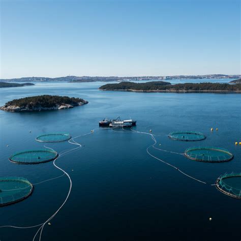 Global Salmon Initiative