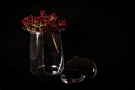 Concept Created With Shattered Glass Cup And Plants That Fell Through
