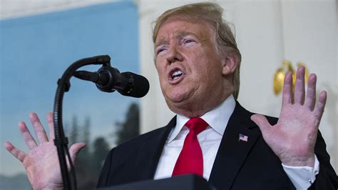 Trump Is A Machine Learning Algorithm Gone Wrong