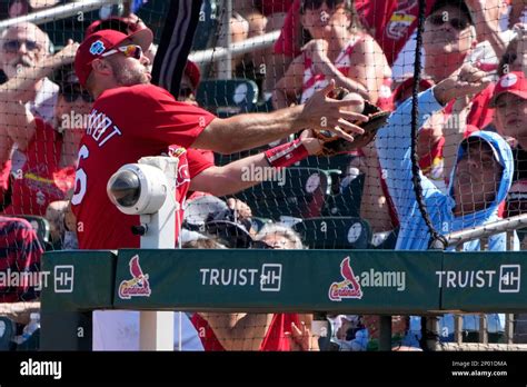 St Louis Cardinals First Baseman Paul Goldschmidt Catches A Foul Ball