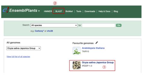 生信小工具 手把手教你从序列查找开始，绘制漂亮的进化树 微信文章 仪器谱
