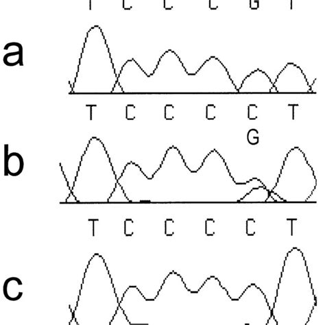 Schematic Illustration Of Fshr Domain Structure Highlighting Position