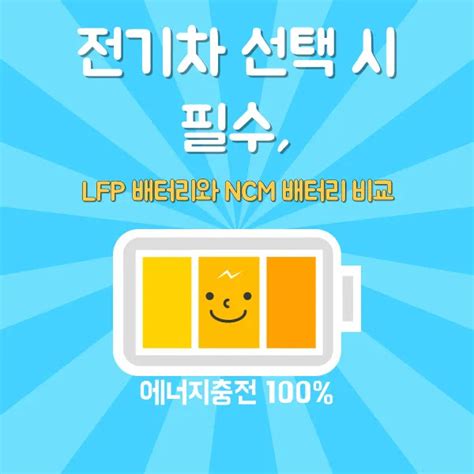전기차 선택 시 필수 Lfp와 Ncm 배터리 비교