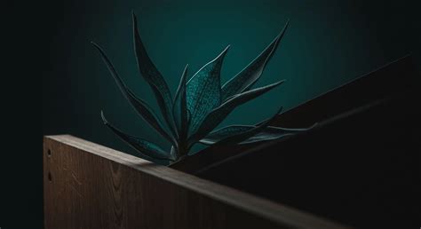 Ecosystem Principles → Fundamentals