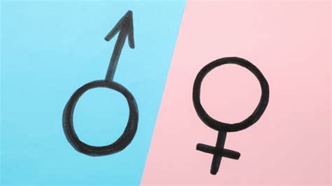 What Is The Difference Between Plasma And Serum Owlcation