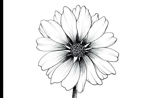 Shading Your Step By Step Guide To Creating Dynamic Shading In