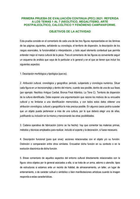 Pec 1 Curso 20 21 Ejercicio Práctico Primera Prueba De EvaluaciÓn Continua Pec 202 1