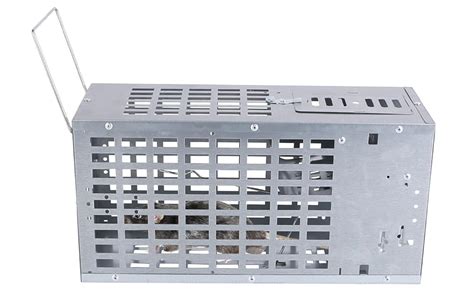 Amazon.com : iMounTEK Humane Live Mouse Trap Reusable Metal Rat Rodent Cage Catch Release ...