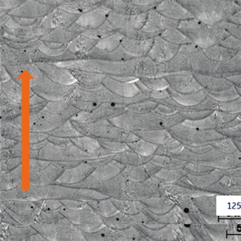 Optical Micrograph Of The As Printed Microstructure In The Etched