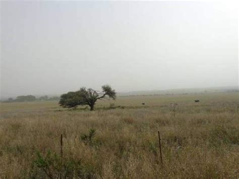 La Pampa Argentina historia caracteristicas clima turismo y más
