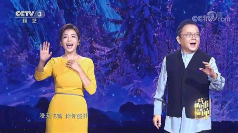 朱迅携手王刚倾情演唱雪绒花经典歌声满含深情 音乐 流行音乐 好看视频