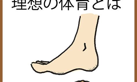 小学校体育「ダブルドッジボールは注意をしっかりと。」 ネコ好きな学校の先生の日常