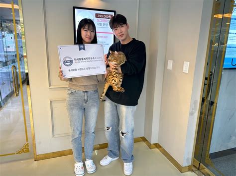 뱅갈 믹스 초파 유기견입양 유기묘입양 강아지입양 소형견입양 중형견입양 대형견입양 말티즈입양 말티푸입양 비숑프리제입양 미니비숑프리제입양 포메라니안입양 푸들입양 골든리트리버입양