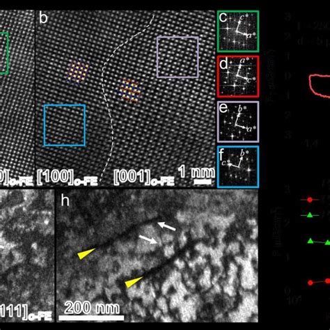 Ferroelectric Domains And Electric Polarization Switching In 12 Hfo 2