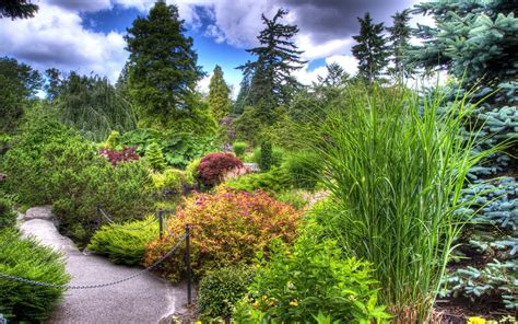 壁纸 草，树，花，路径，链，公园 2880x1800 Hd 高清壁纸 图片 照片