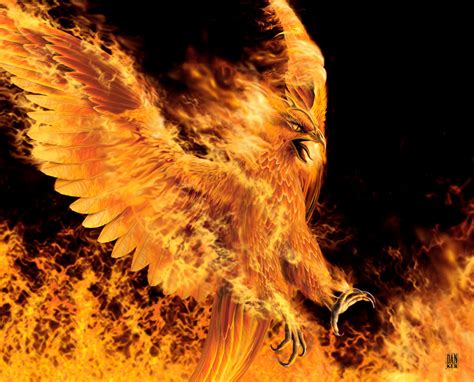 Phoenix By Imkstudios On DeviantArt
