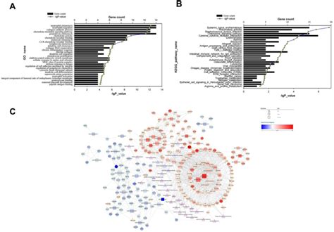 Functional Analysis Of Target Genes Predicted For Differentially
